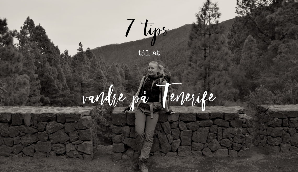 7 tips til at vandre på Tenerife I Hike My Heart Out