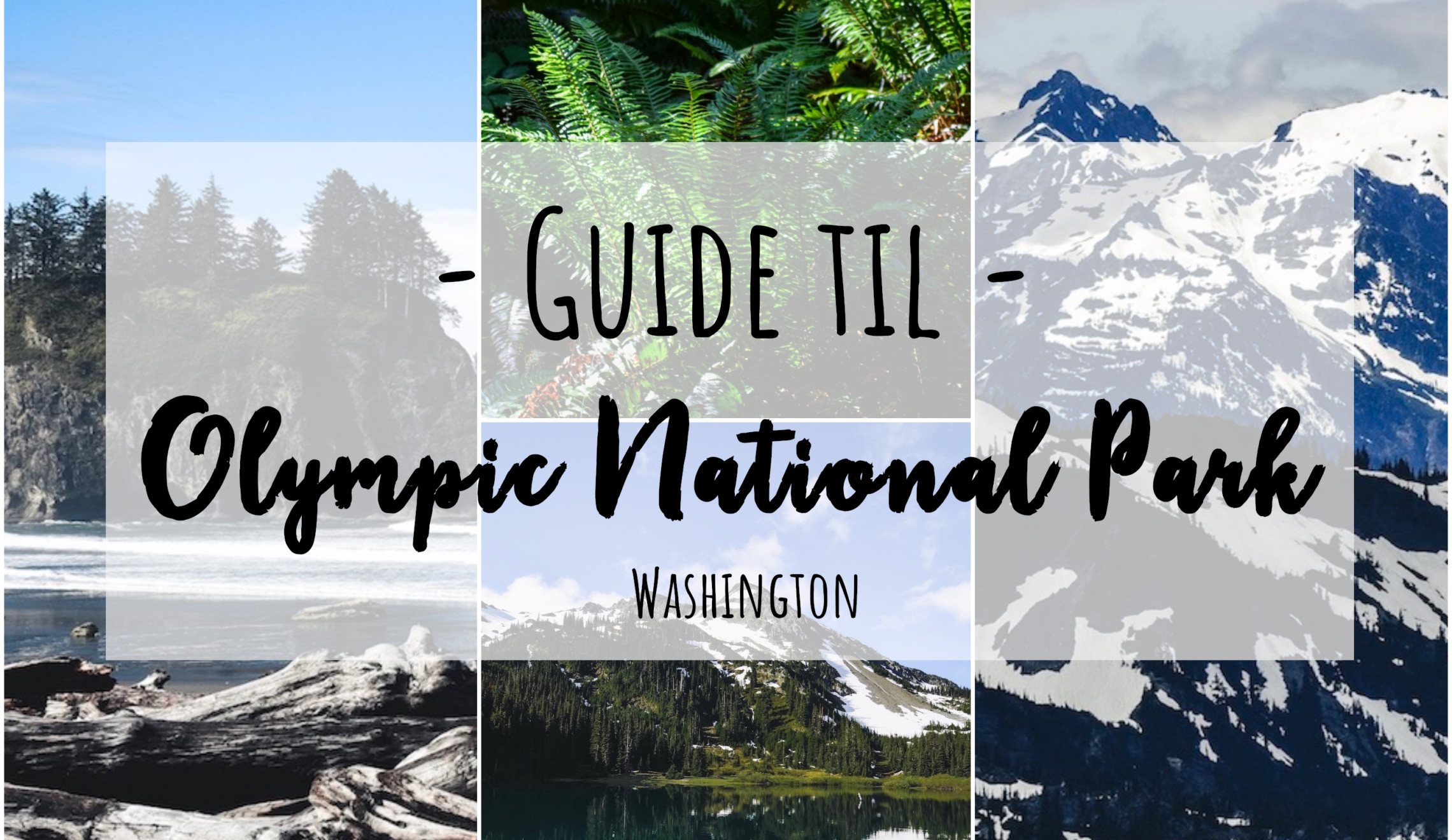Guide til Olympic National Park | HIKE MY HEART OUT | En blog om at vandre